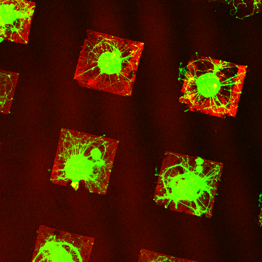 Beschichtungstechnologien - SuSoS
