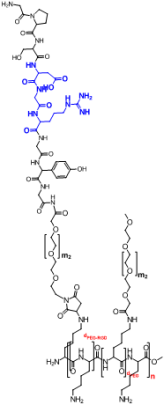 PLL-g-PEG Polymere - SuSoS