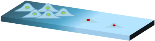 Surface Functionalities - SuSoS