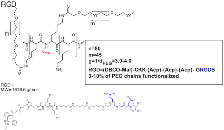 PLL-g-PEG-RGD-800 - SuSoS